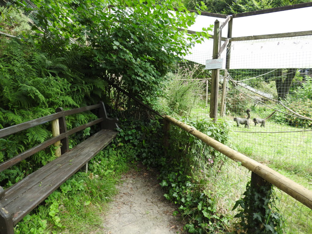 The Monkey Sanctuary in Cornwall – The Expert Camper