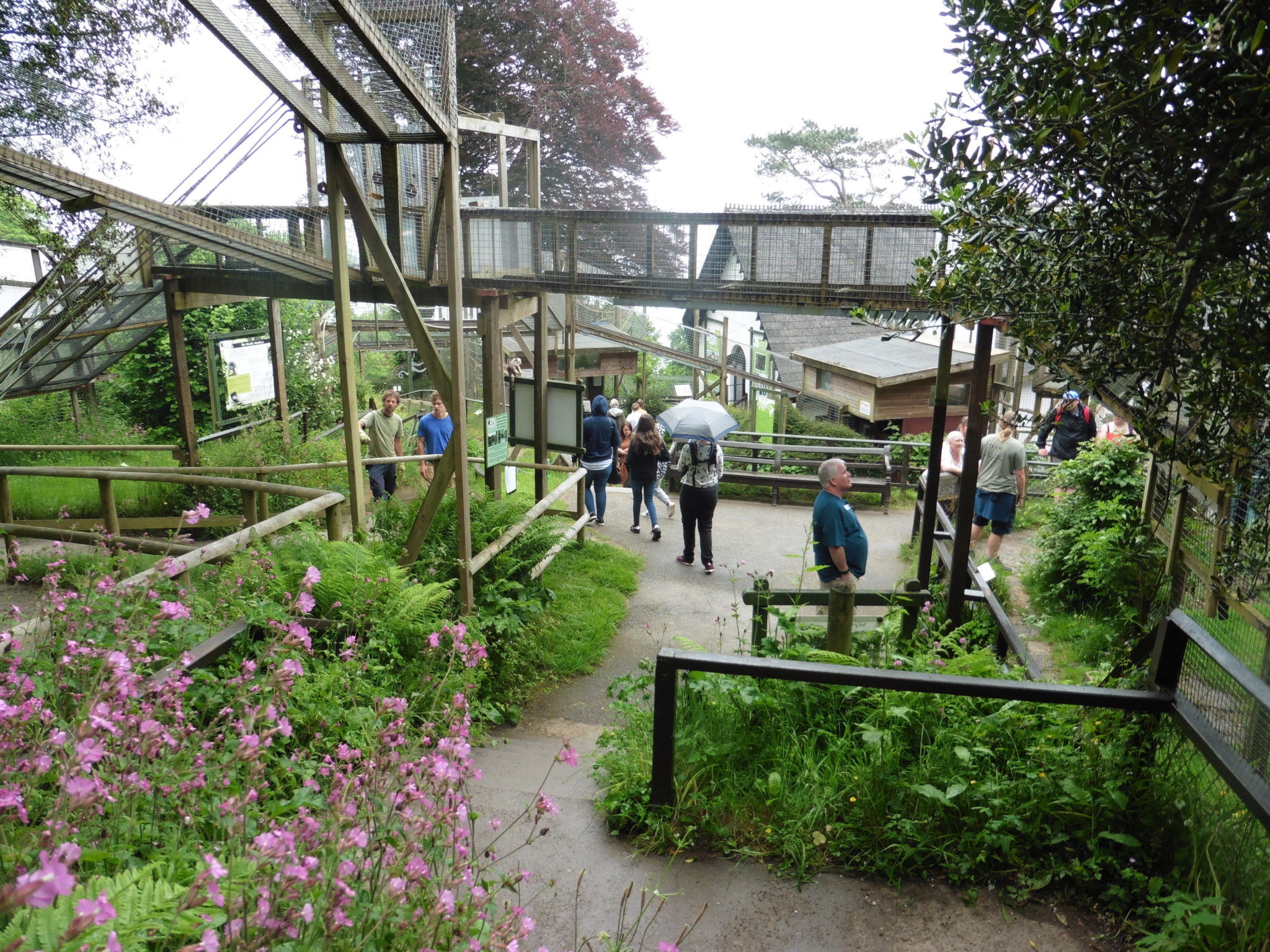 The Monkey Sanctuary in Cornwall – The Expert Camper