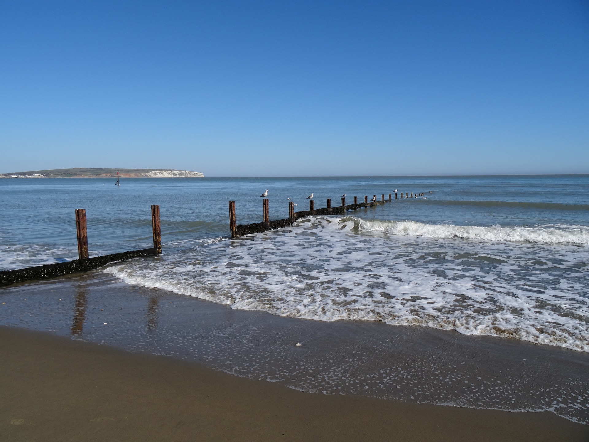 Explore the Best Beaches on the Isle of Wight - Top 12 Picks for 2024 ...